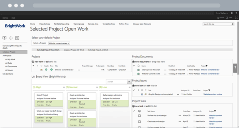 BrightWork Project and Portfolio Management for Healthcare