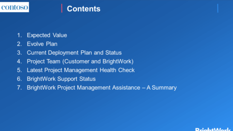 BrightWork Services - Project Management Success Review