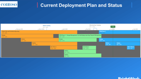BrightWork Services - Project Management Success Review