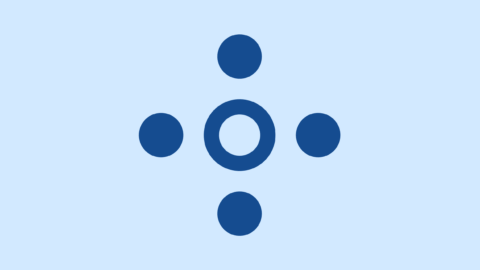 BrightWork Services for Project Management on SharePoint