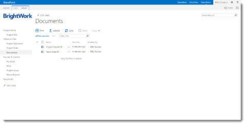 The Structure of a SharePoint Project Site