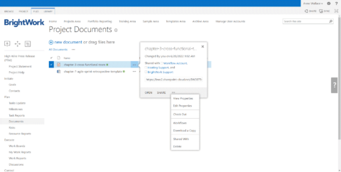 BrightWork Task Management